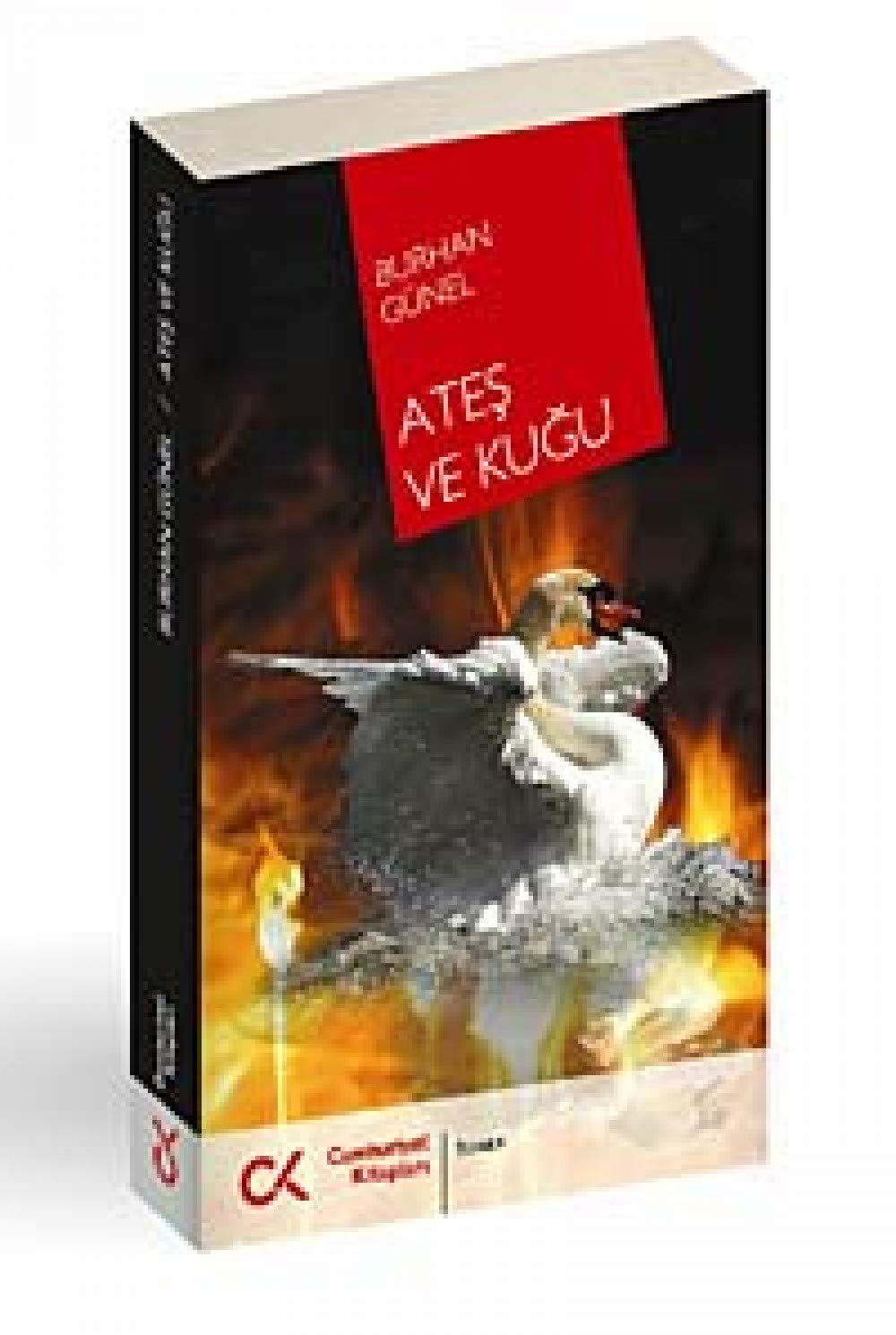 Amazon.com: Ates ve Kugu: 9786054183371: Burhan Günel: Books