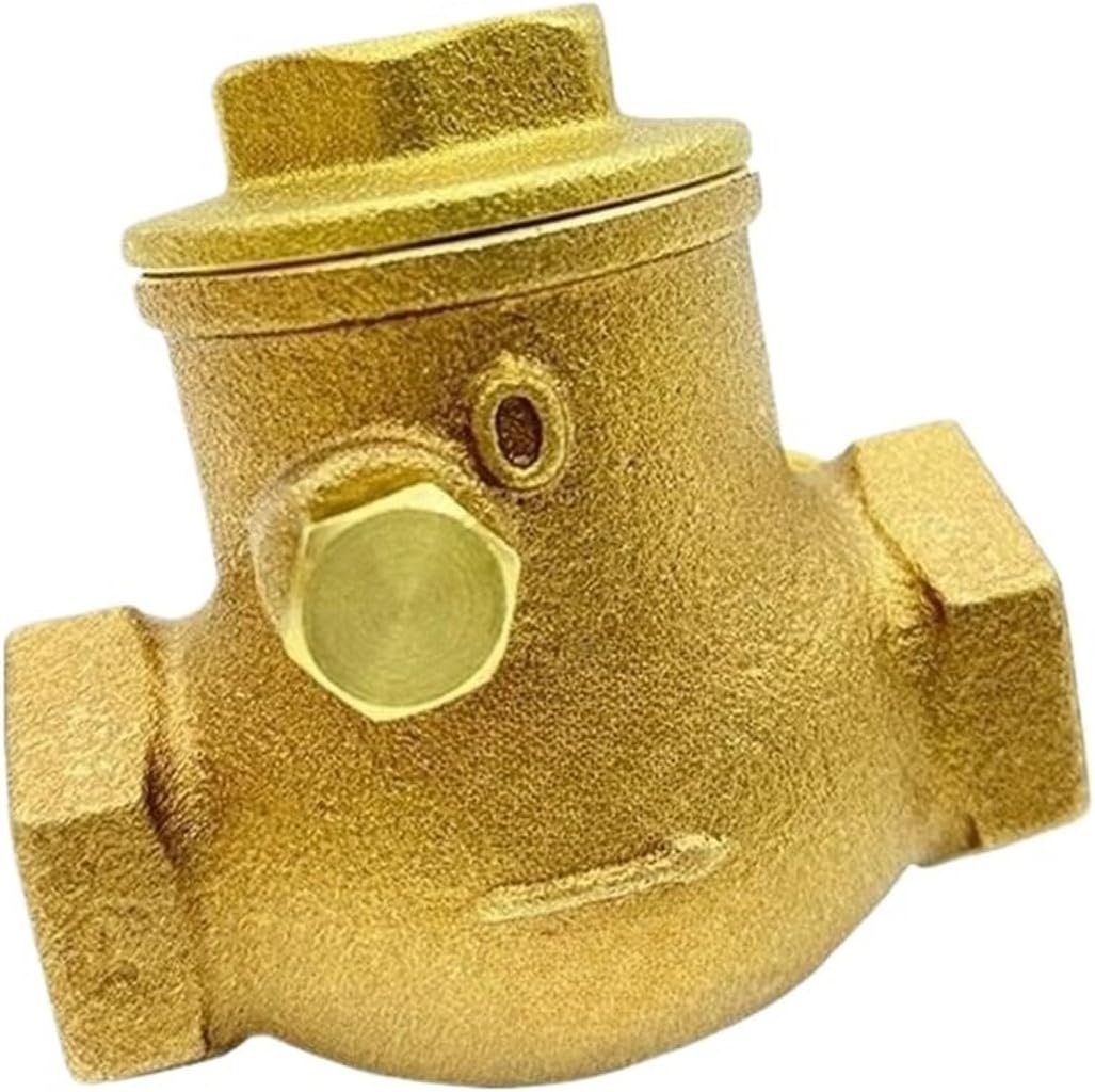 Amazon.com: LAPBPVQAAR Bronze Check Valve Lifting Check Valve ...