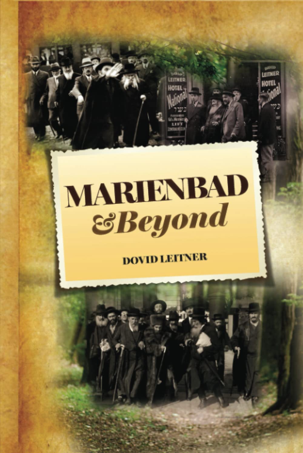 Marienbad & Beyond: Leitner, Dovid: 9781800944220: Amazon.com: Books
