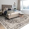 Amazon.com: HILORUUG Washable Area Rug - 8x10 Bedroom Living Room Large ...