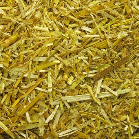 Buy MR Paddy Straw, Rice Straw for Oyster Mushroom Cultivation, Pack of ...