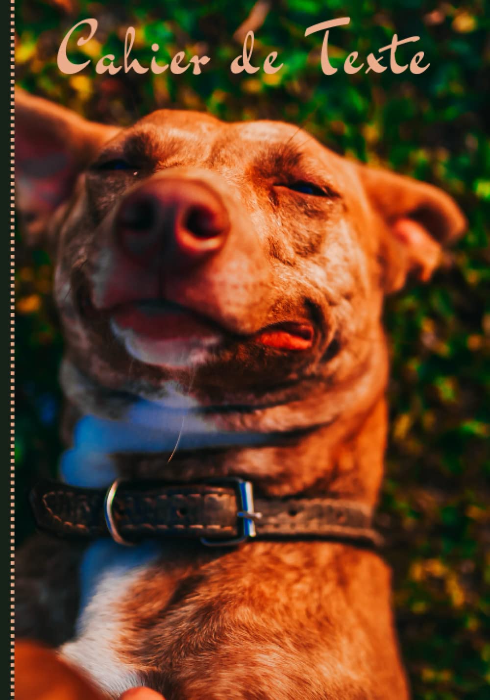 Buy CAHIER DE TEXTE: Chien 2022 2023 - Pratique pour toutes les ...