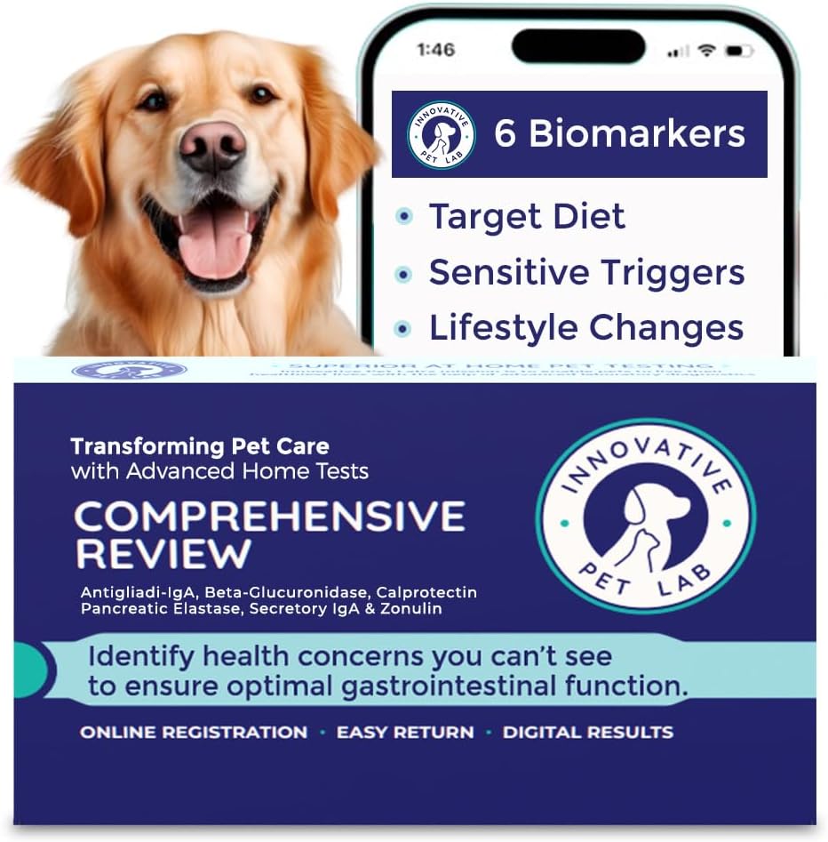 Amazon.com: Embark Breed Identification Kit | Most Accurate Dog DNA ...