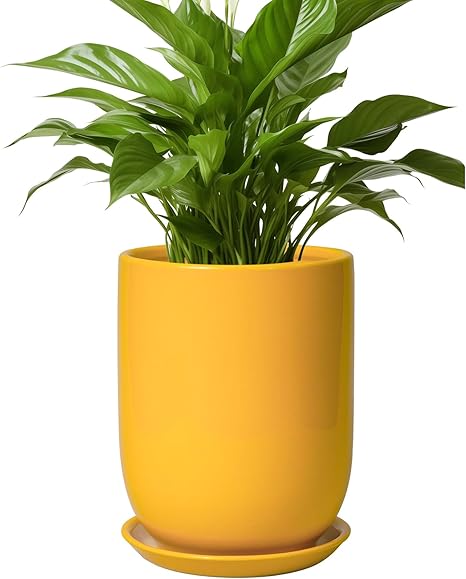 Amazon.com : SUNPOTFOR Plant Pot 8 Inch - Ceramic Plant Pot with ...