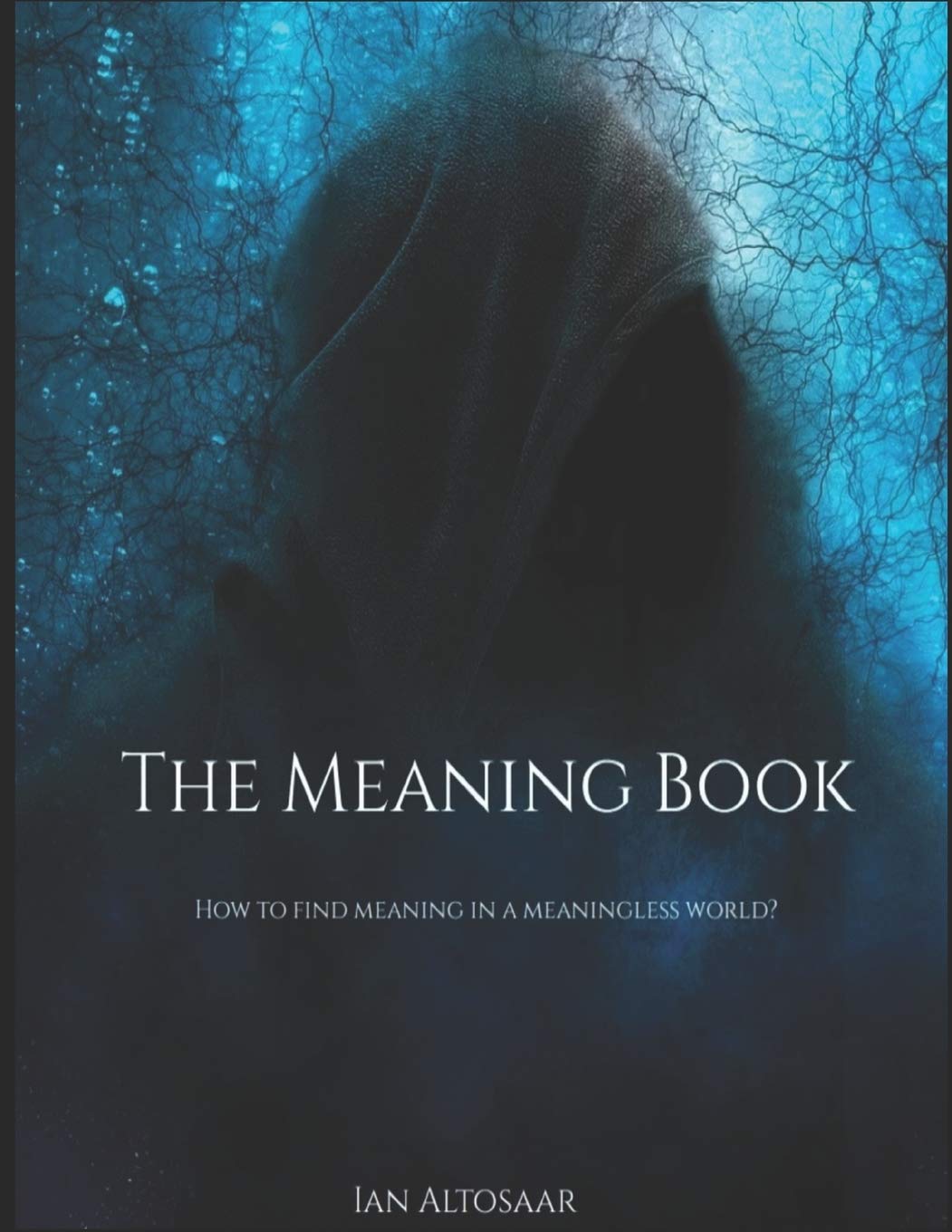 The Meaning Book: How to find meaning in a meaningless world?: Altosaar ...