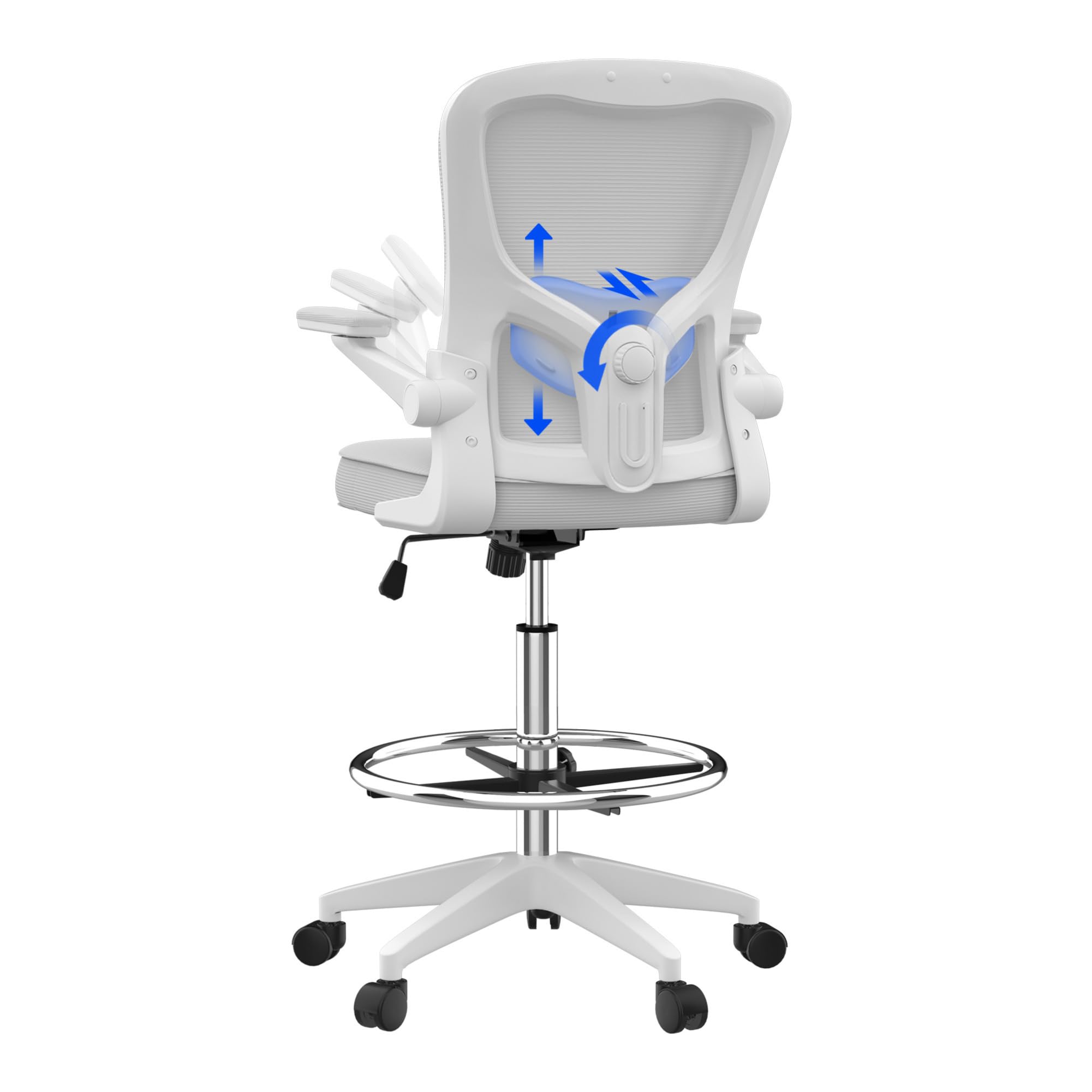 Drafting Chair FlexiSpot Ergo - Adjustable Stool With Lumbar Support ...