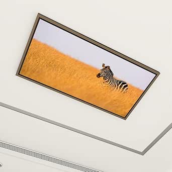 ZKFETPVOW Decorative Fluorescent Light Covers for Ceiling Lights 6 ...