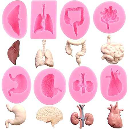 Amazon.com: 8 Pcs Organs Fondant Molds, Human Lung Heart Brain Silicone ...