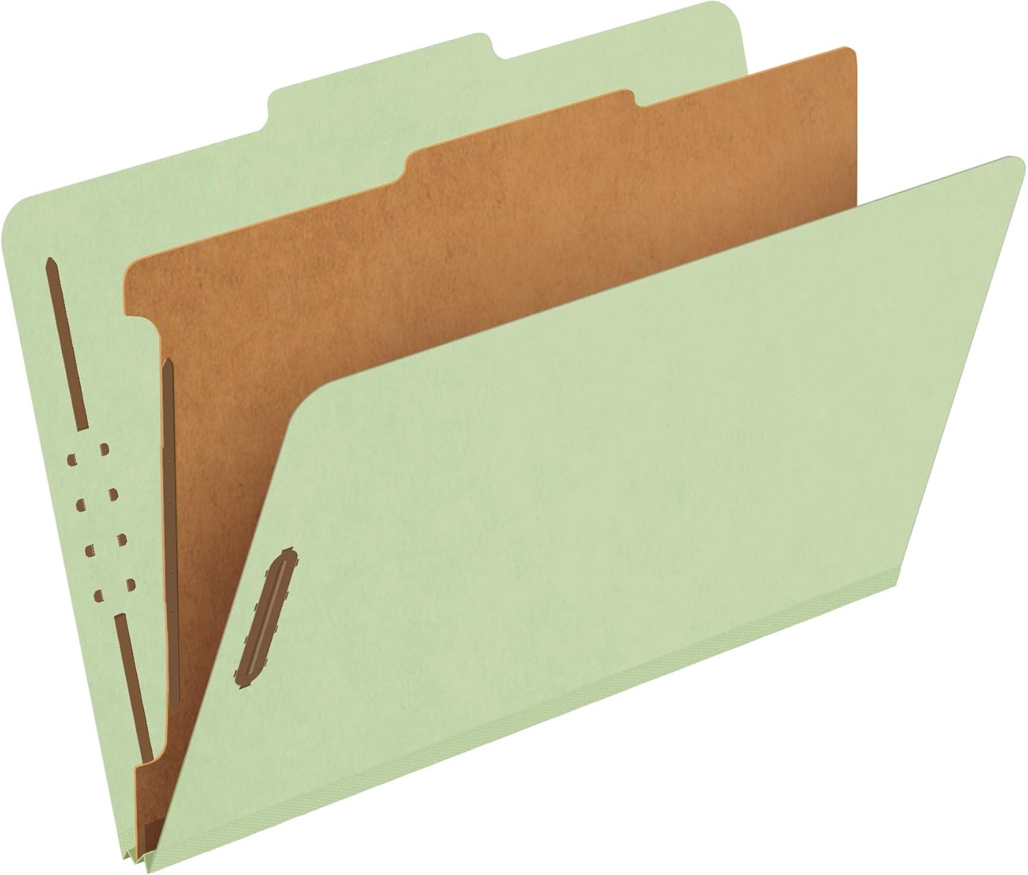 Amazon.com : Pendaflex Recycled Classification File Folders, 1 Divider ...