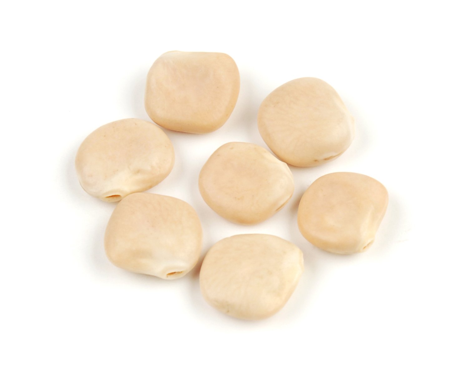 Amazon.com : Lupini Beans, 10 Pound Box : Lupini Beans Produce ...