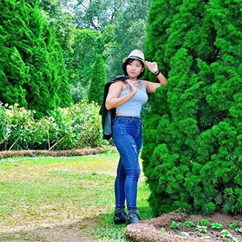 Amazon MusicでHtun Pyae Sone feat. Thet Hmue KhinのKotokekyi nae mabokesone (feat. Thet Hmue Khin ...