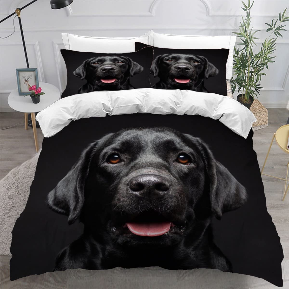 What Size Bed Would A Black Labrador Need