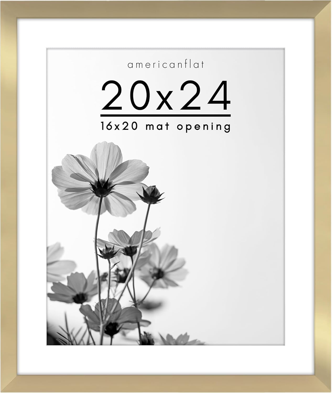 Amazon.com - Americanflat 20x24 Picture Frame in Gold - Use as 16x20 ...