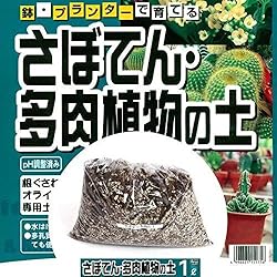 サボテンにおすすめの土10選！作り方・配合例・よくあるQ＆Aも解説 | BIOTONIQUE｜ビオトニーク（観葉植物メディア）