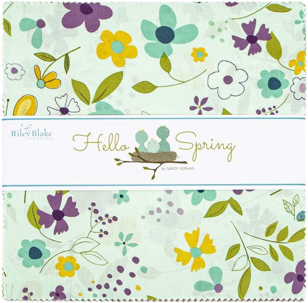 Amazon.com: Sandy Gervais Hello Spring 10" Stacker 42 10-inch Squares ...