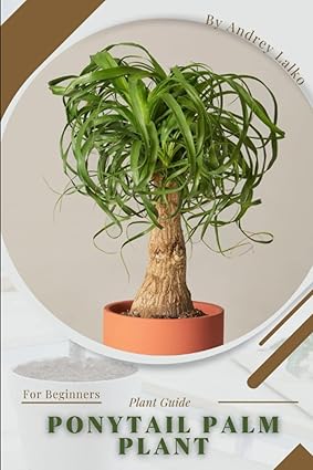 Ponytail Palm Plant: Prodigy Petal, Plant Guide: Lalko, Andrey: 9798387113918: Amazon.com: Books