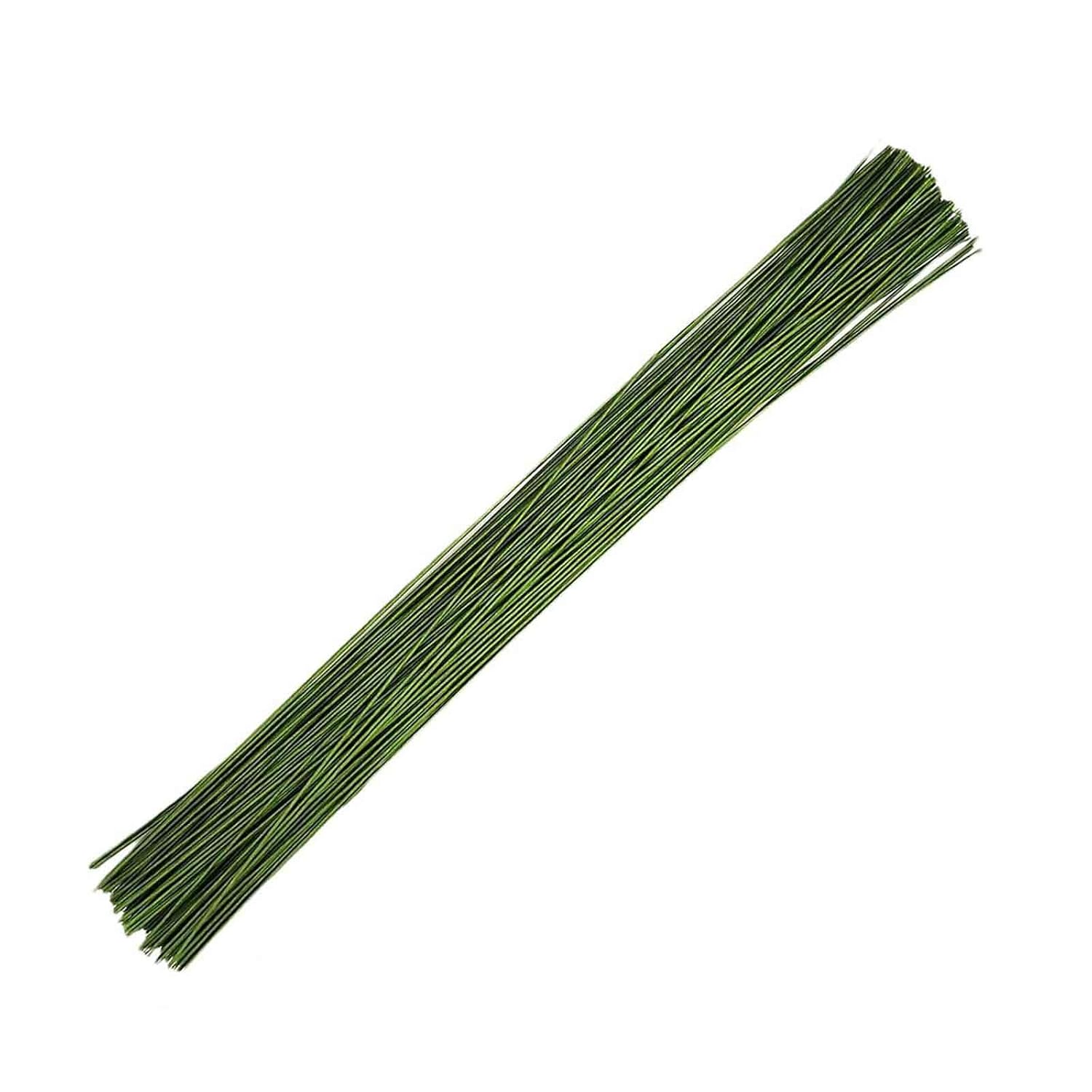 Amazon.com: chaekoy 18 Gauge Green Floral Stem Wire 15 inch, 50/Package ...