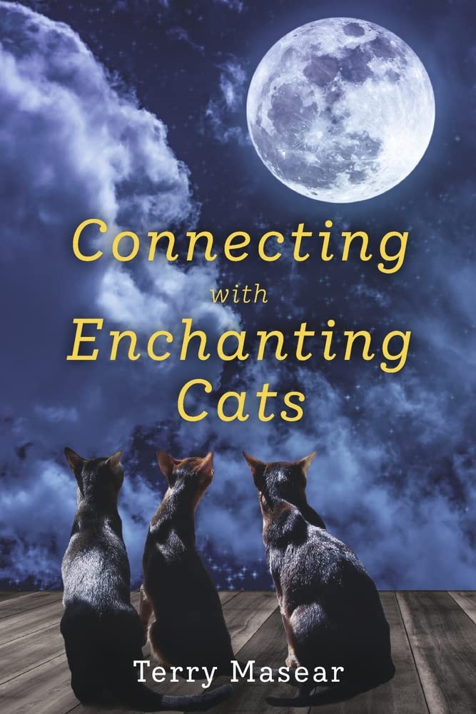 Connecting with Enchanting Cats: Masear, Terry: 9781667810713: Amazon ...