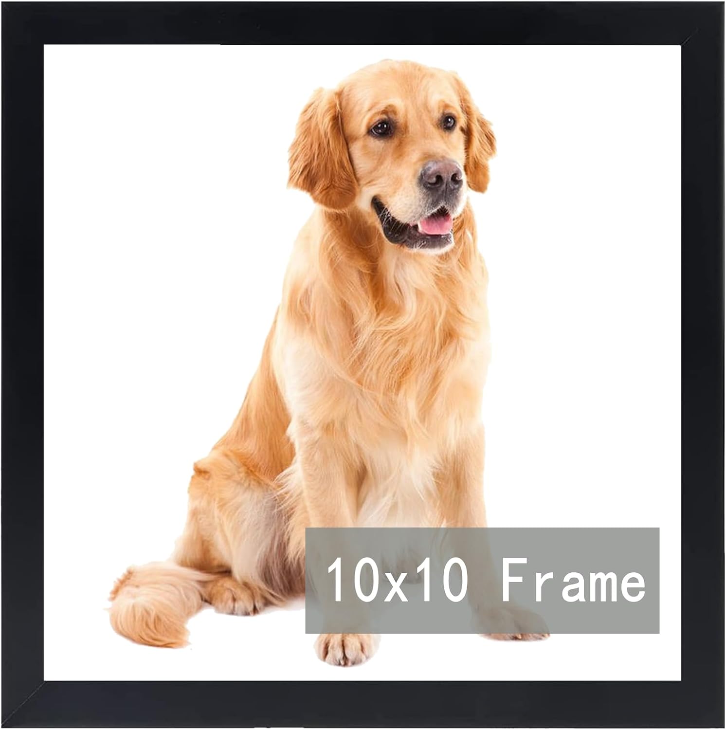 10x10 Picture Frame for Square Photo Poster Canvas Certificate Document ...