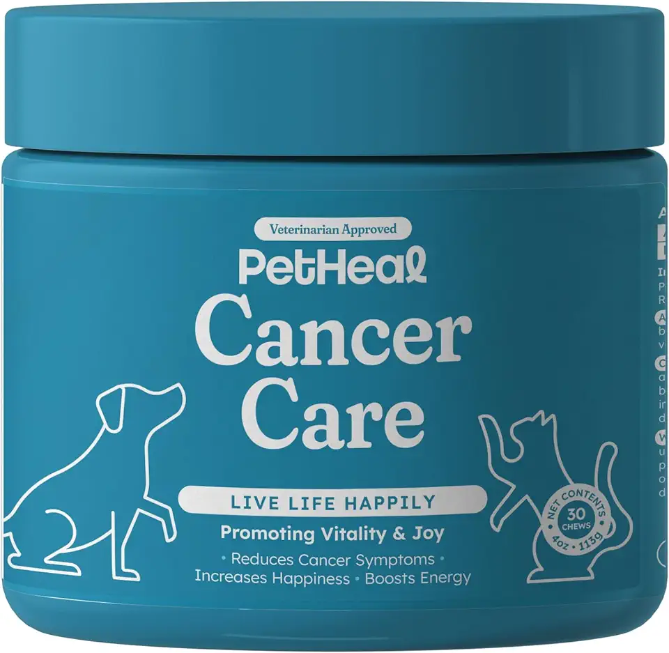 Cancer Progression In Dogs: Understanding The Rapid Spread | PetShun