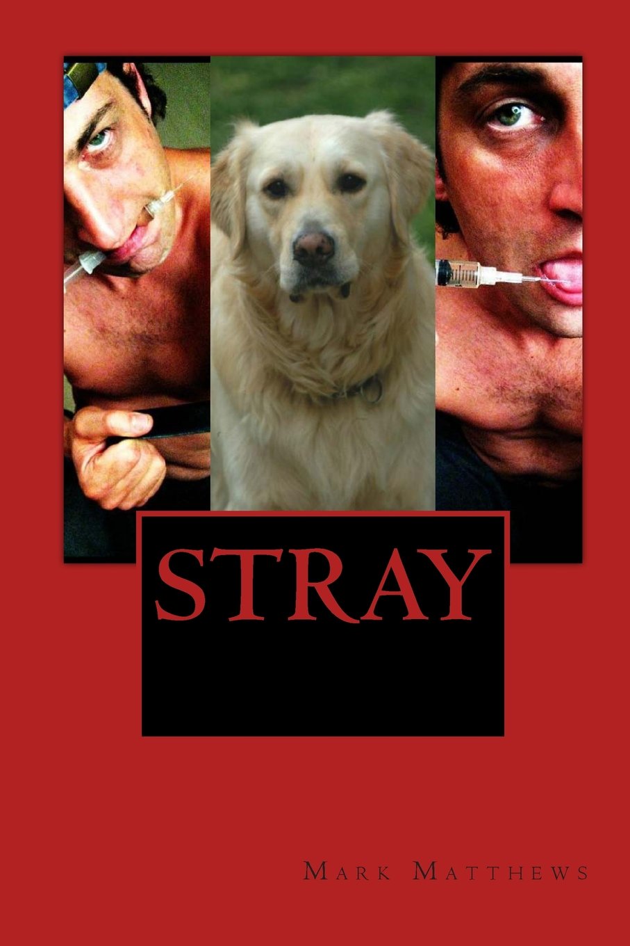 Amazon.com: Stray: 9781463554095: Matthews, Mark: Books