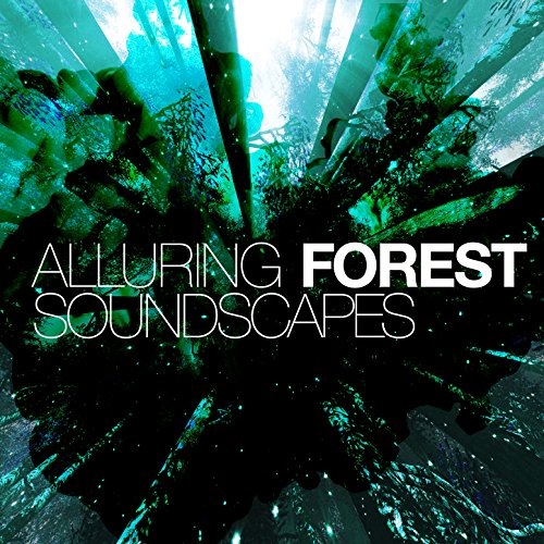 Play Alluring Forest Soundscapes by Forest Soundscapes on Amazon Music