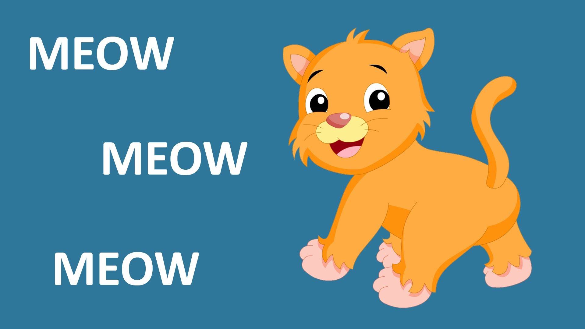 The Kids Junction - App on Amazon Appstore