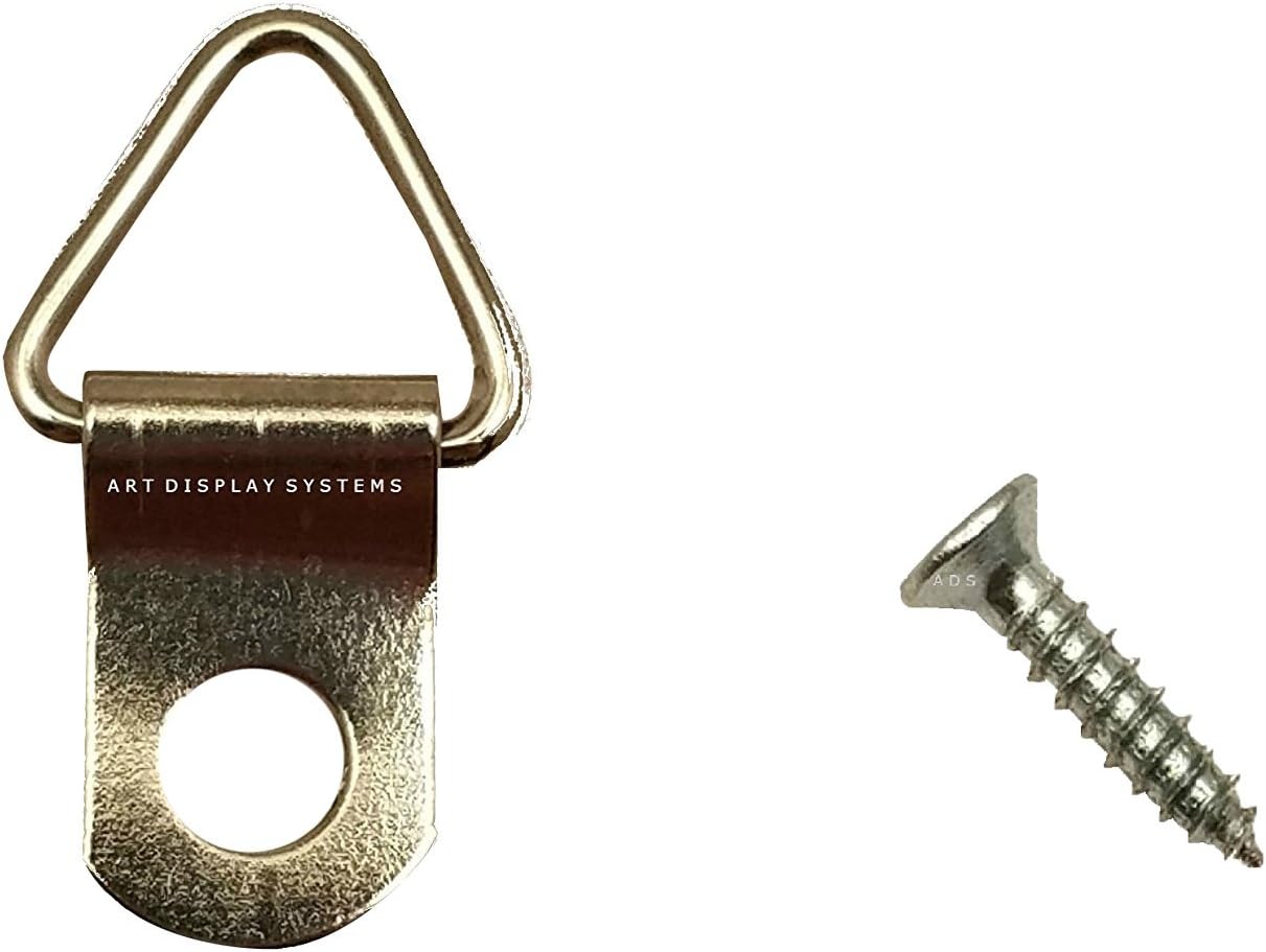 ADS 1 Hole Triangle ZP D Ring Hanger with 4 1/2 Screws – Pro Quality ...