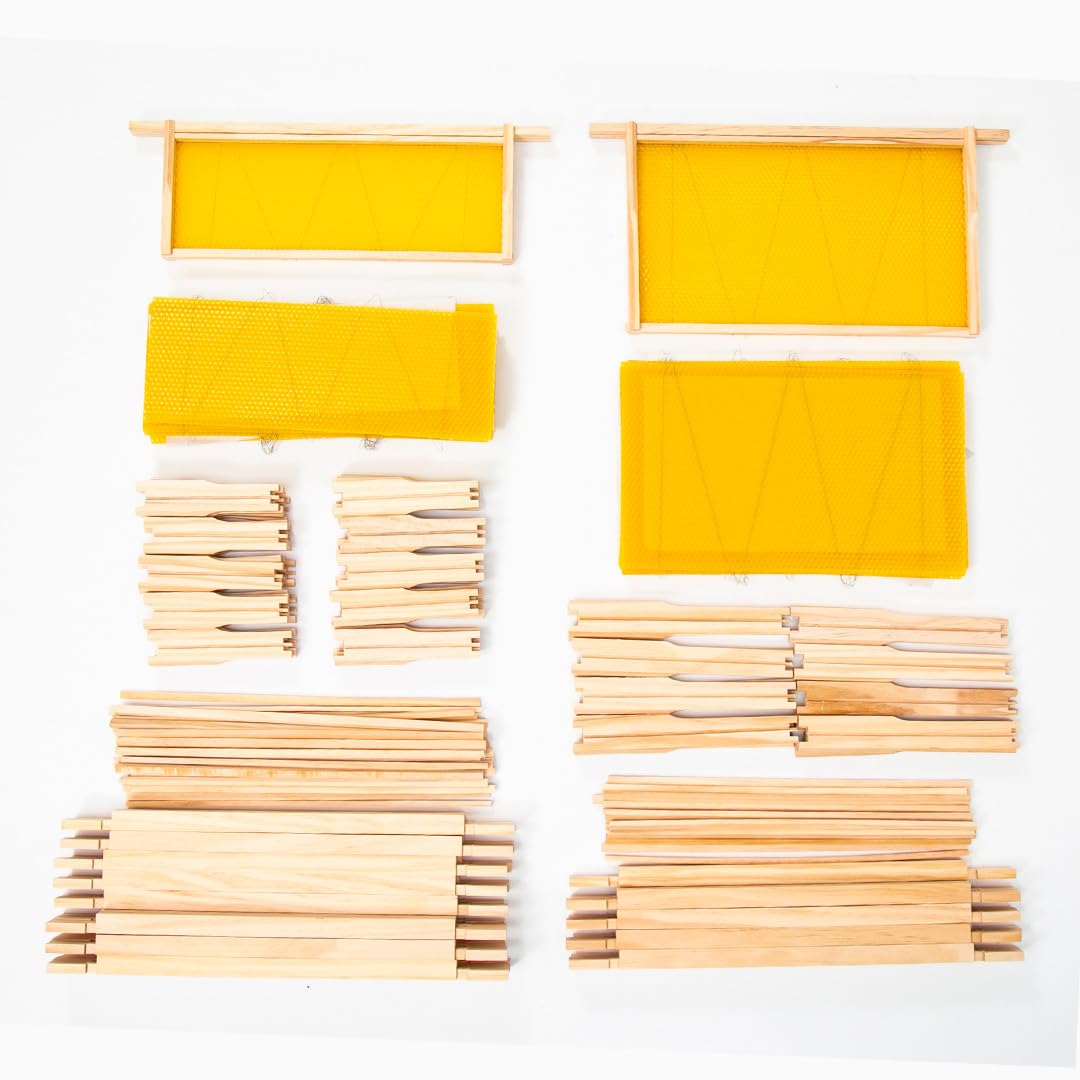 Frames & Foundation (SN4 & DN4) National Hive Bundle | Hiveology ...