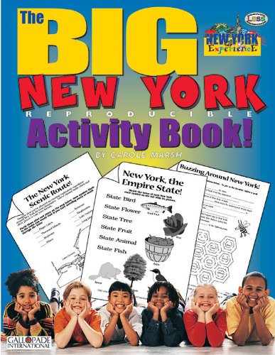 Amazon.com: The Big New York Activity Book!: Reproducible (New York ...