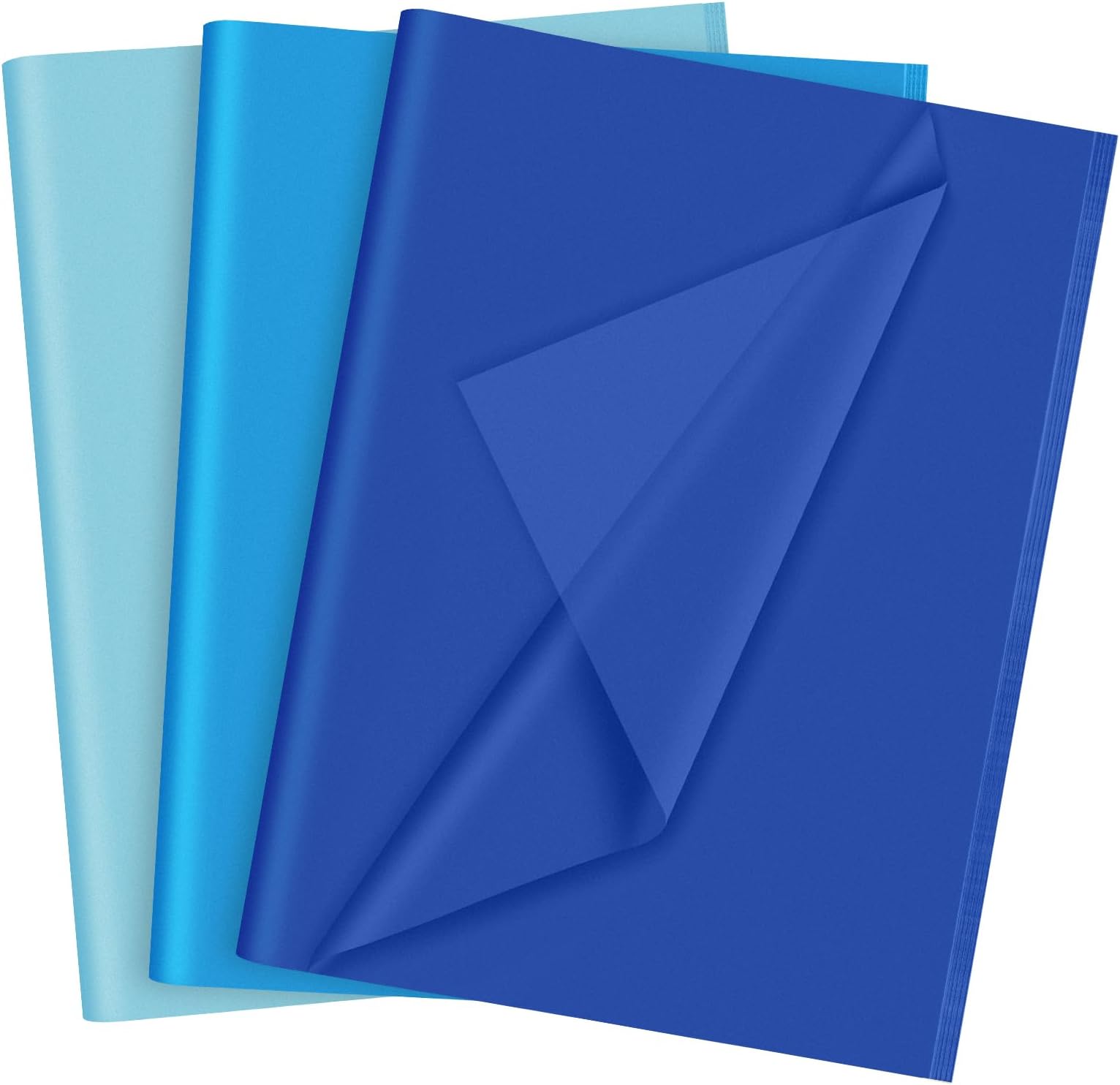 Amazon.com: TCDesignerProducts Turquoise Tissue Parade Float Pomps Pack ...