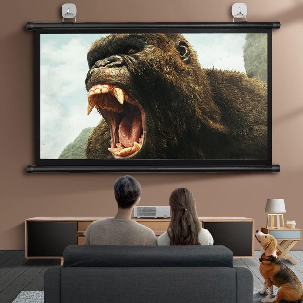 Amazon.com: Indoor Outdoor Projector Screen, Manual Pull Down Movie ...