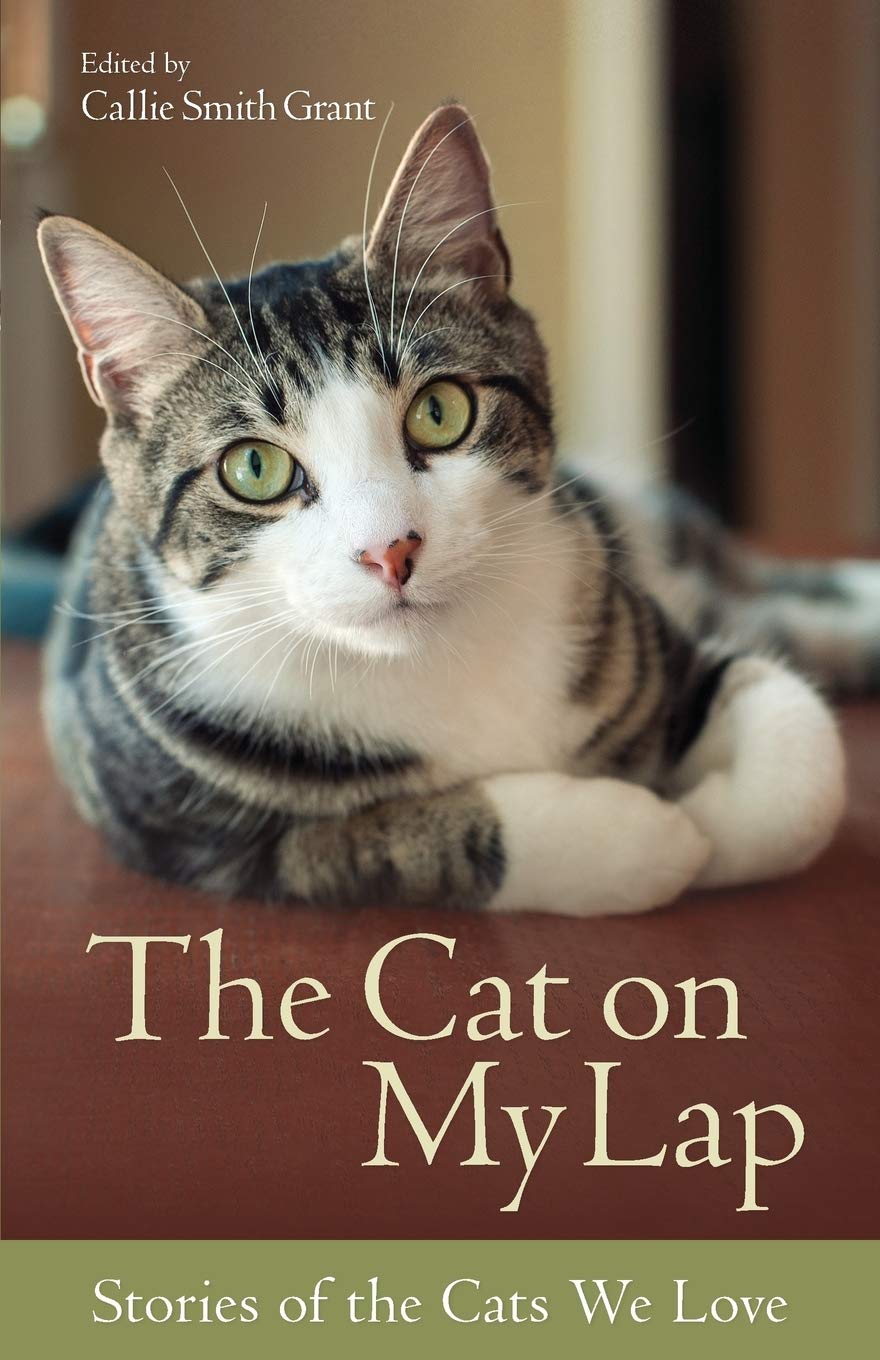 The Cat on My Lap: Stories of the Cats We Love: Callie Smith Grant ...