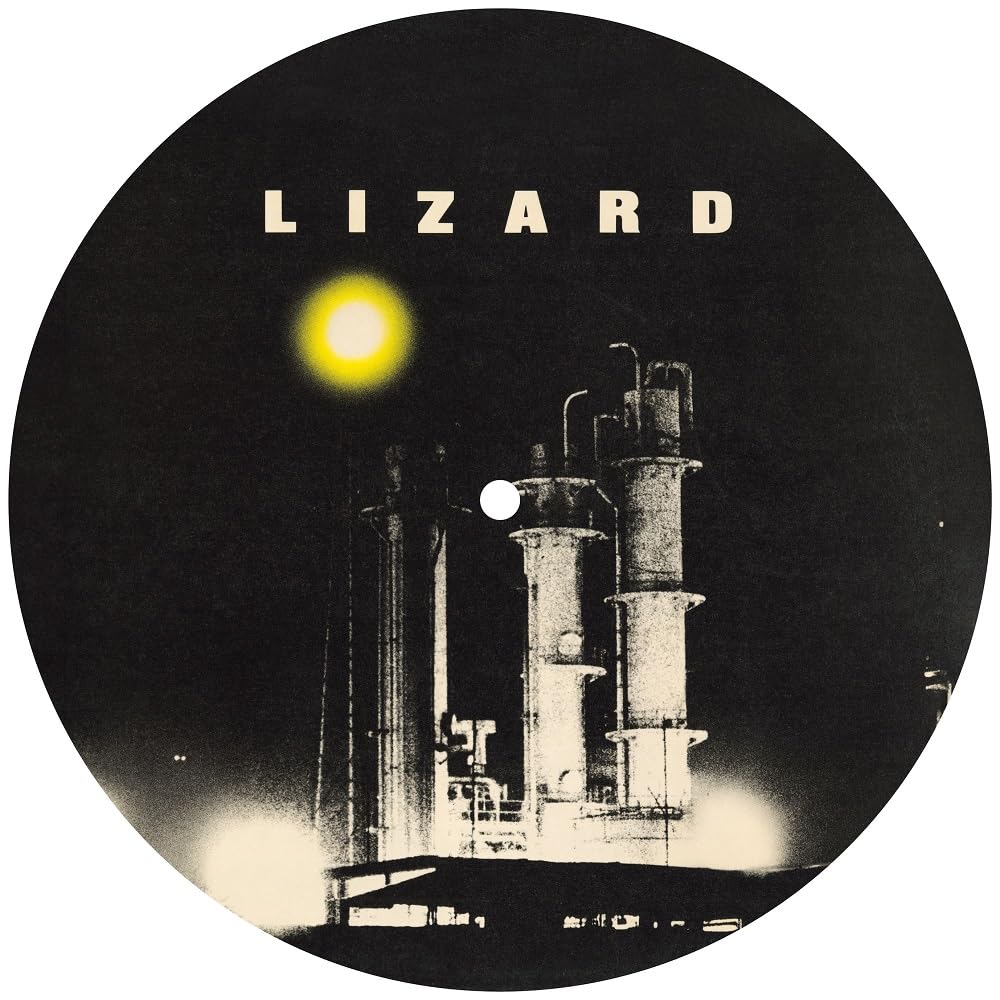 Amazon.co.jp: 『LIZARD』 [Analog]: ミュージック