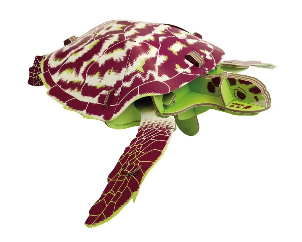Build Your Own Moving Hawksbill Turtle - Pull Tab Moving Flipper Action ...
