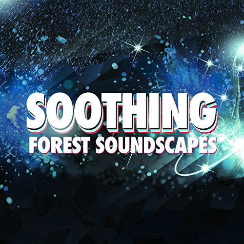 Soothing Forest Soundscapes by Forest Soundscapes on Amazon Music ...