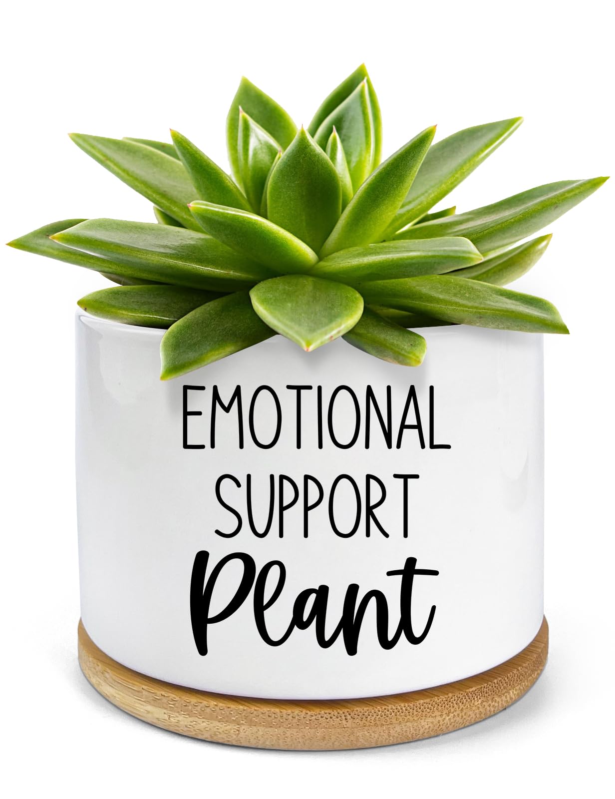 Amazon.com : PWHINGN Emotional Support Plant Pot - 3.5 inch Ceramic ...