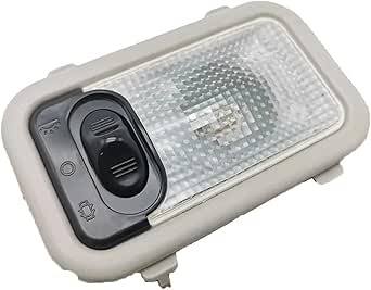 Amazon.com: Front Interior Lamp Assembly Compatible with BYD F0 Roof ...