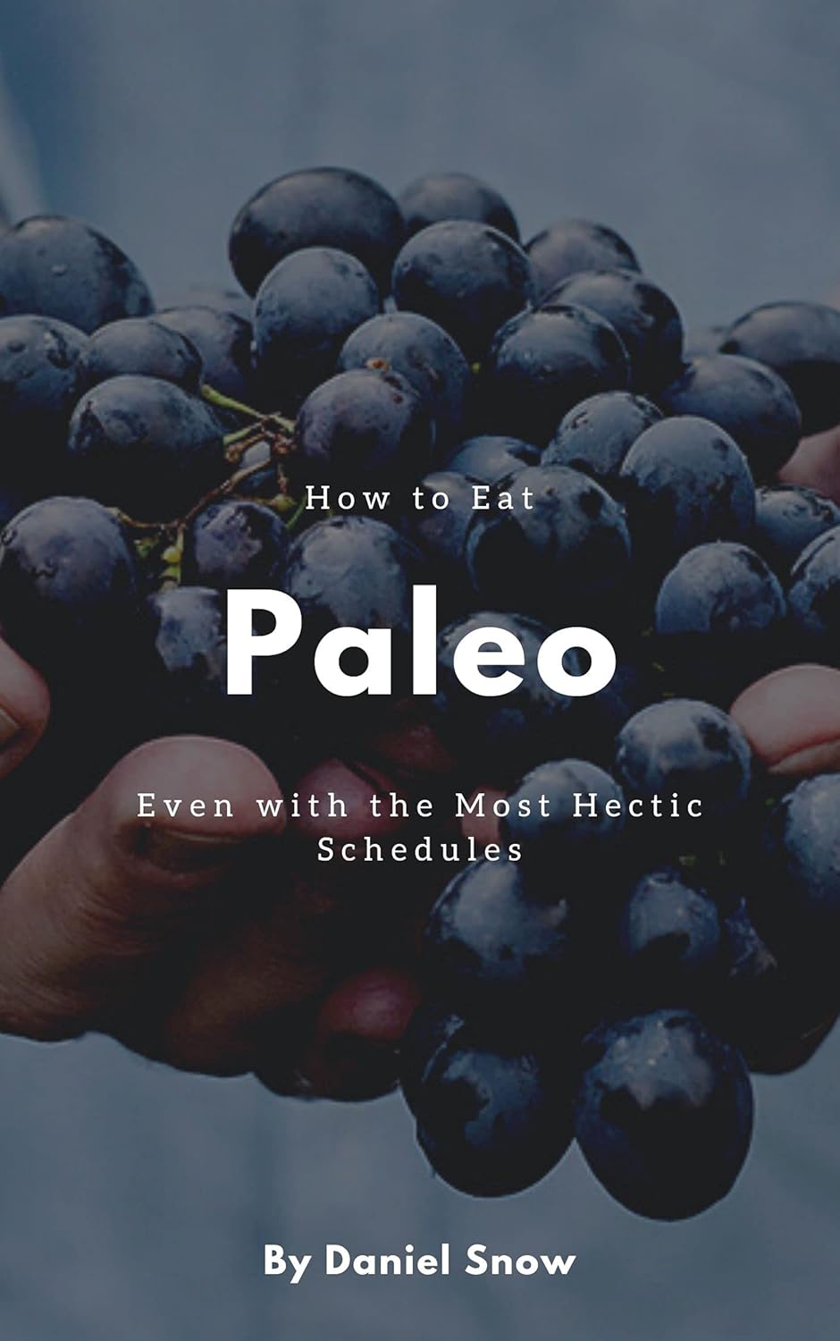 How to Eat Paleo: Even with the Most Hectic Schedule - Kindle edition ...
