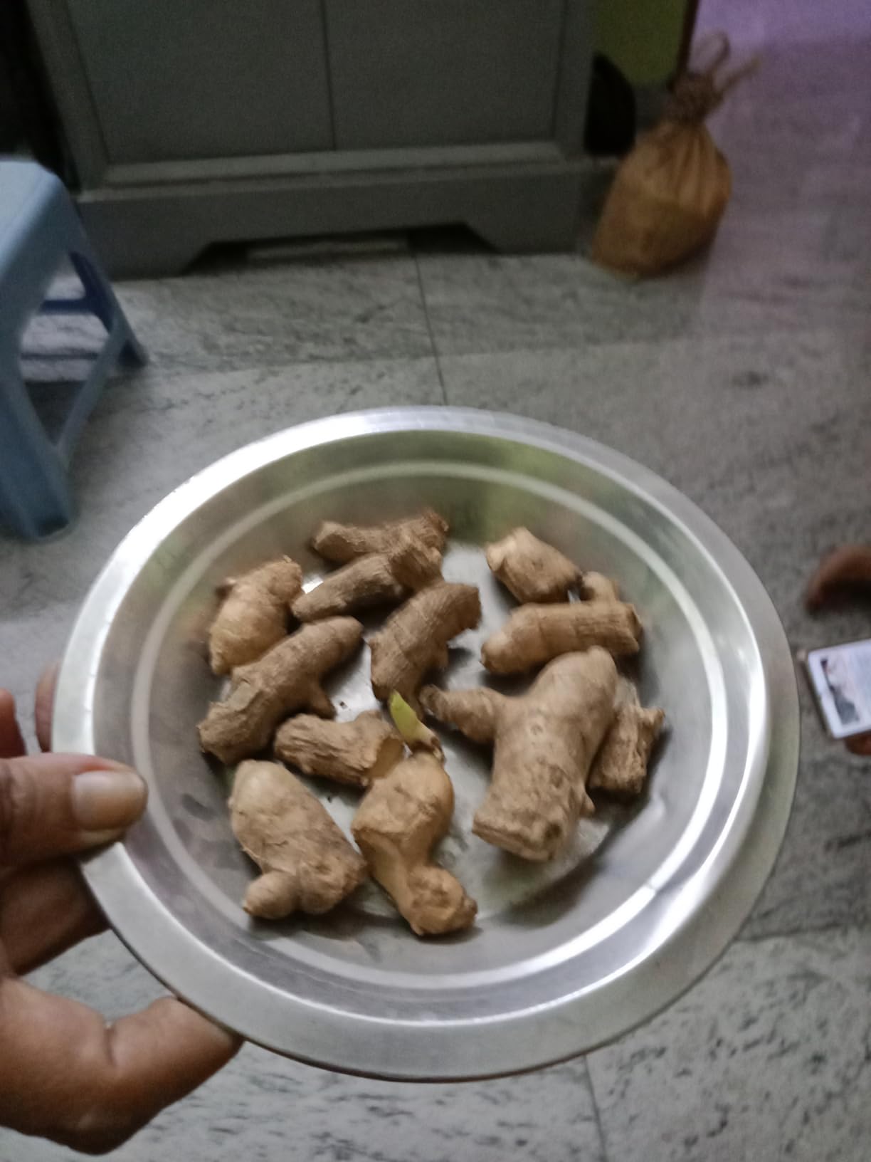 Hug A Plant | Mango Ginger/Manga Inchi Rhizome (Curcuma amada) (10 PCS ...