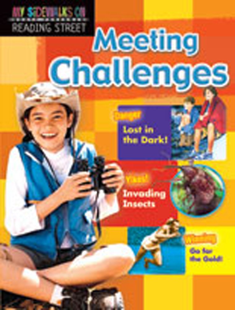 Amazon.com: Reading 2011 Sidewalks for Reading Intervention Practice ...