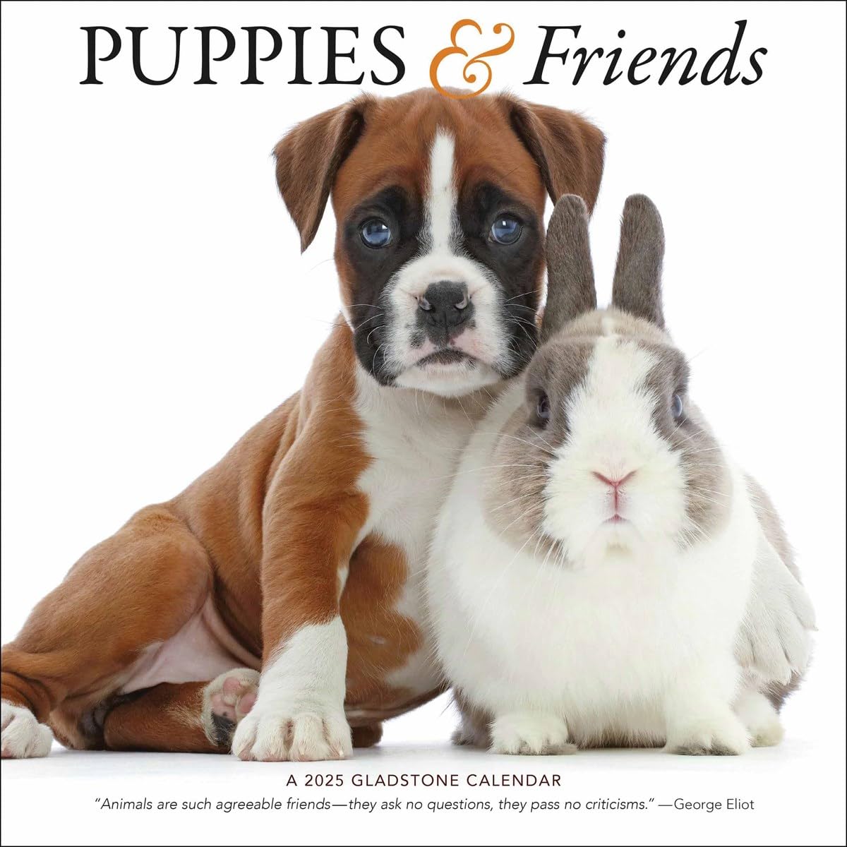 Amazon.com: Carousel Calendars, Puppies and Friends 2025 Wall Calendar ...