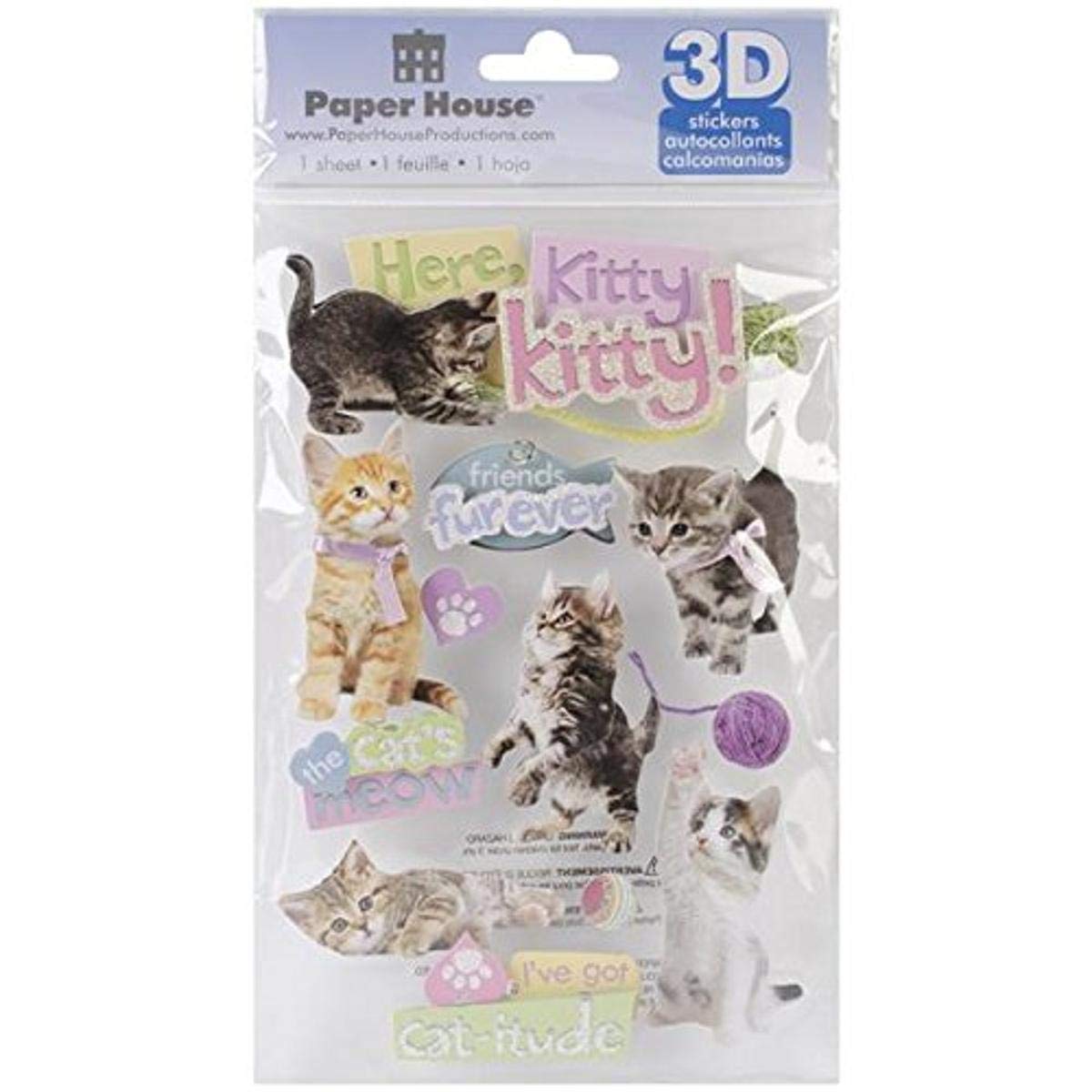 Amazon.com: Paper House Productions STDM-147E 3D Stickers, Here Kitty ...