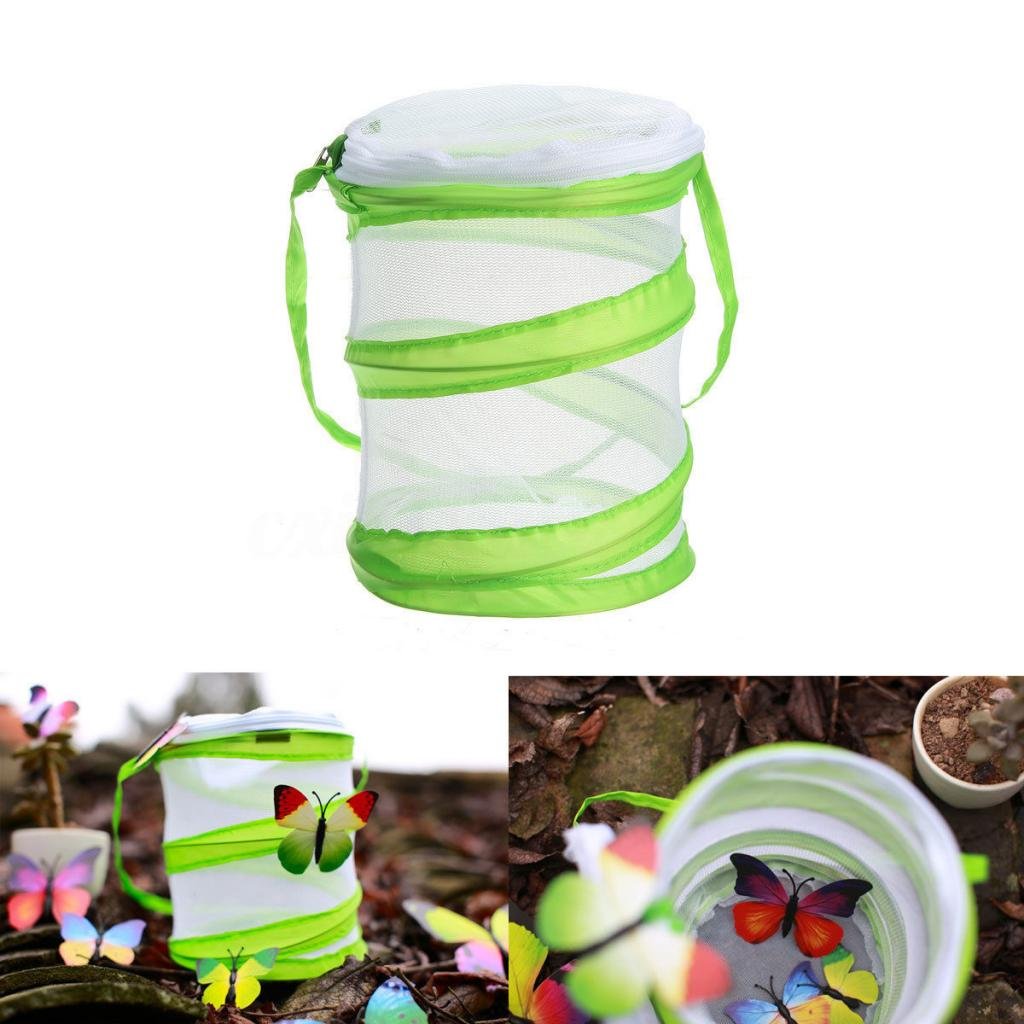 Buy WorldCare® Praying Mantis Stick Insect Butterfly Pop-up Cage ...