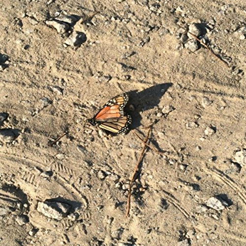 Écouter Ptsd par Riston Diggs sur Amazon Music Unlimited