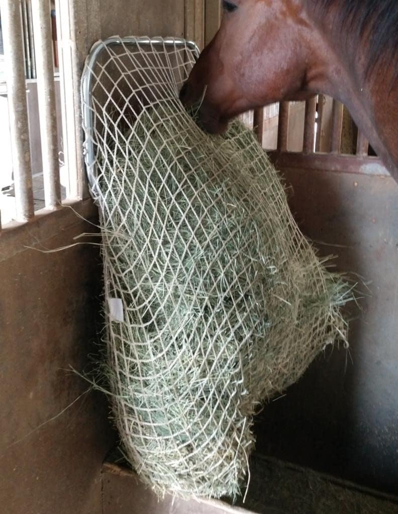 Amazon.com: Hay Hoops II Quick Assemble Collapsible Wall Hay Feeder ...