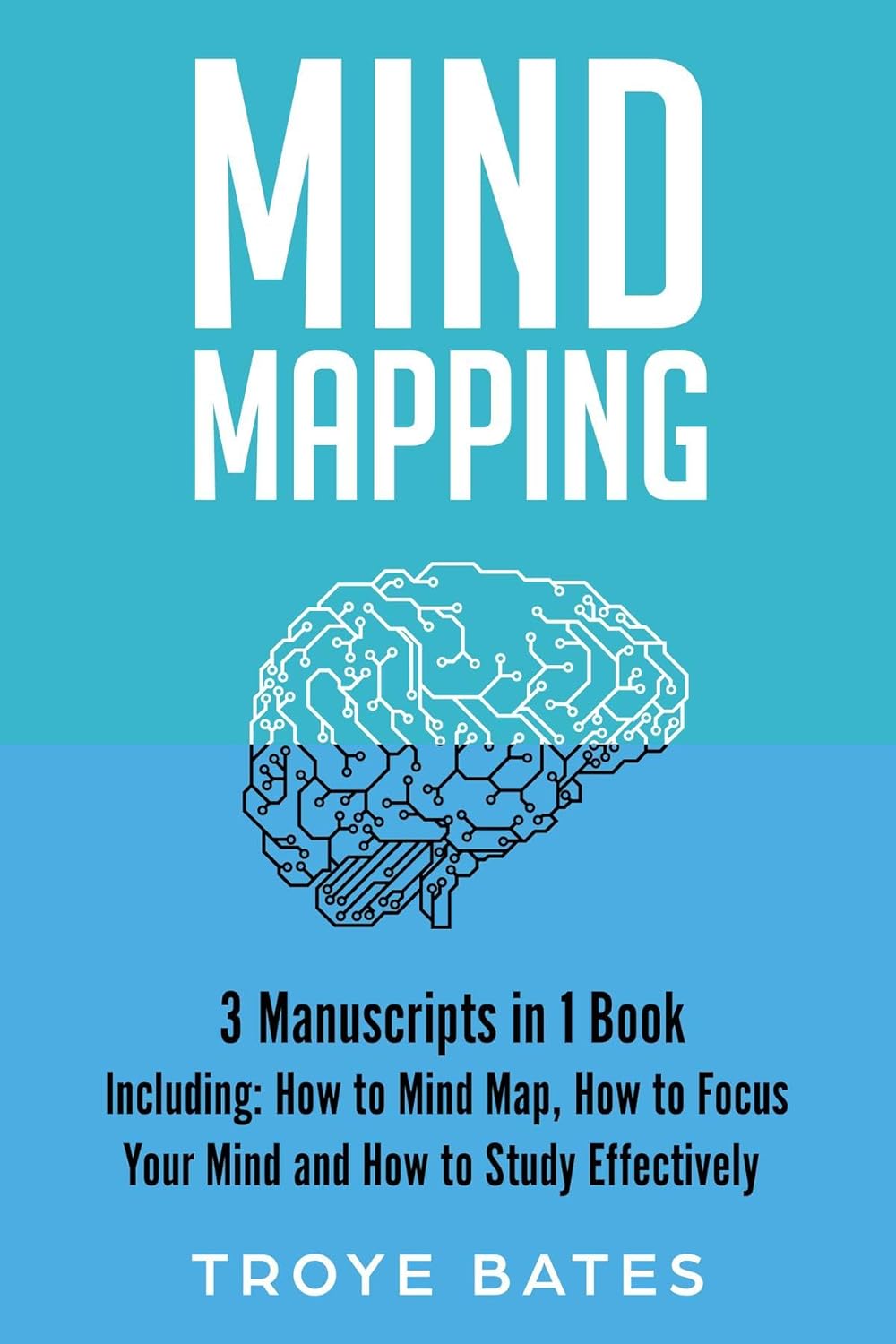 Mind Mapping: 3-in-1 Guide to Master Brain Mapping, Mind Maps at Work ...