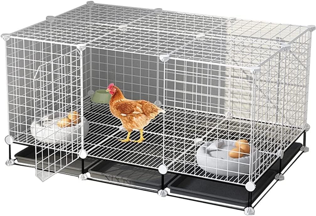 Essential Features Every Chicken House for 8 Chickens Should Have ...