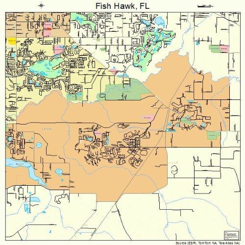 Large Street & Road Map of Fish Hawk, Florida FL - Printed poster size ...