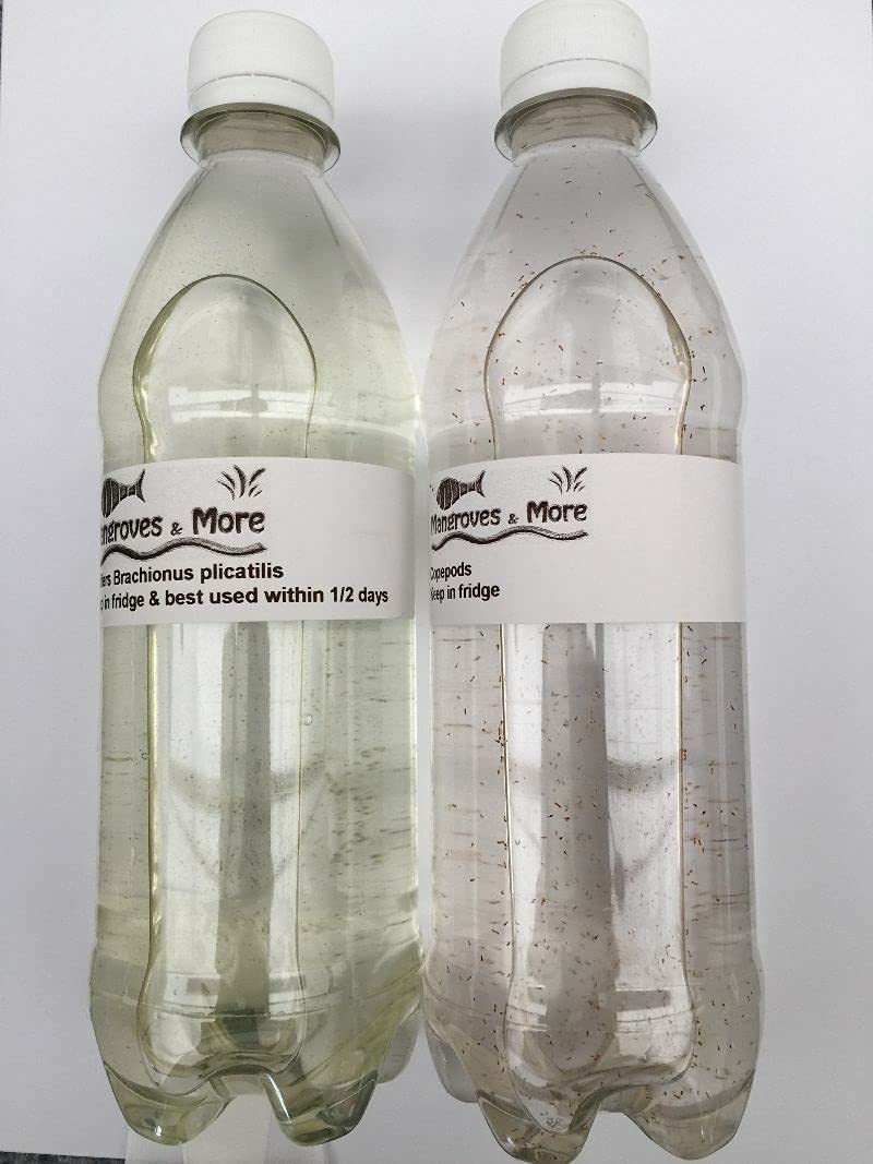 Buy 1000ml Zooplankton Copepods & Rotifers Coral Food Mixed Copepod and ...